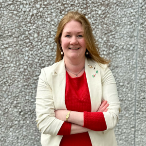 Anne Lise Gjerstad Fredlund - Innlandet SV